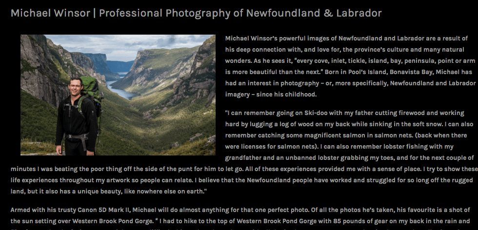 Anatomy of a Successful Artist’s Home Page - Learn How to Sell Art ...