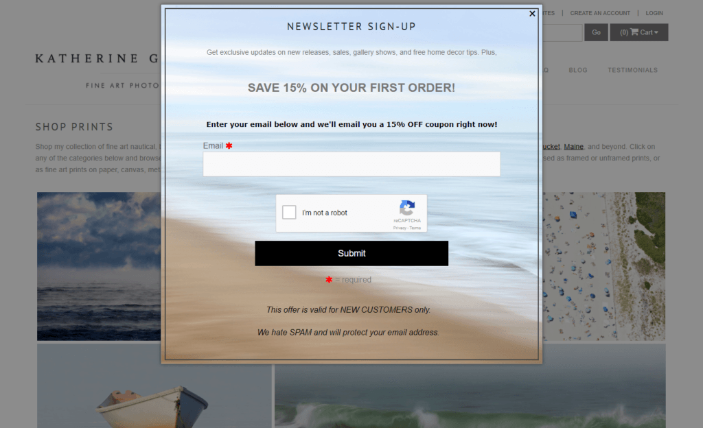 Successful Art Storefronts Photographer Website Examples