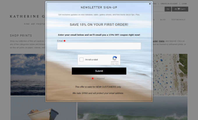 Successful Art Storefronts Photographer Website Examples