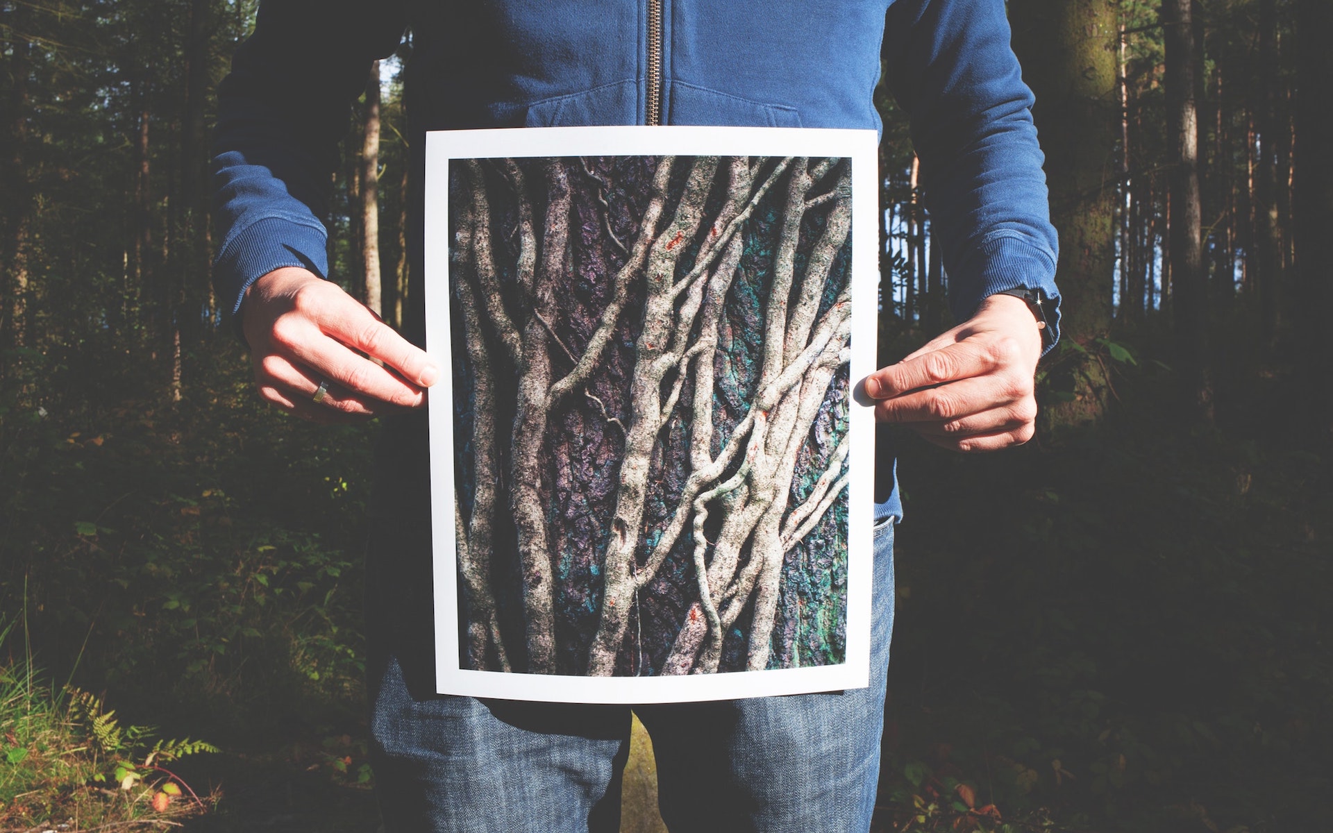 A New Standard in Fine Art Print Fulfillment