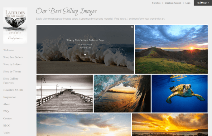Successful Art Storefronts Photographer Website Examples