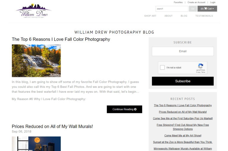 Successful Art Storefronts Photographer Website Examples