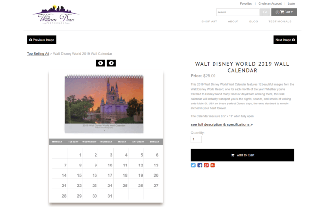 Successful Art Storefronts Photographer Website Examples