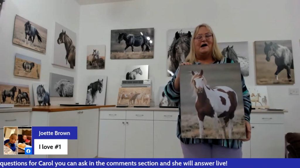 The Ultimate Guide To Successful Art Shows and Fairs