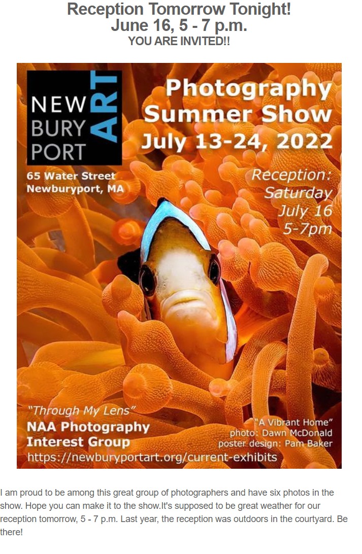 The Ultimate Guide To Successful Art Shows and Fairs